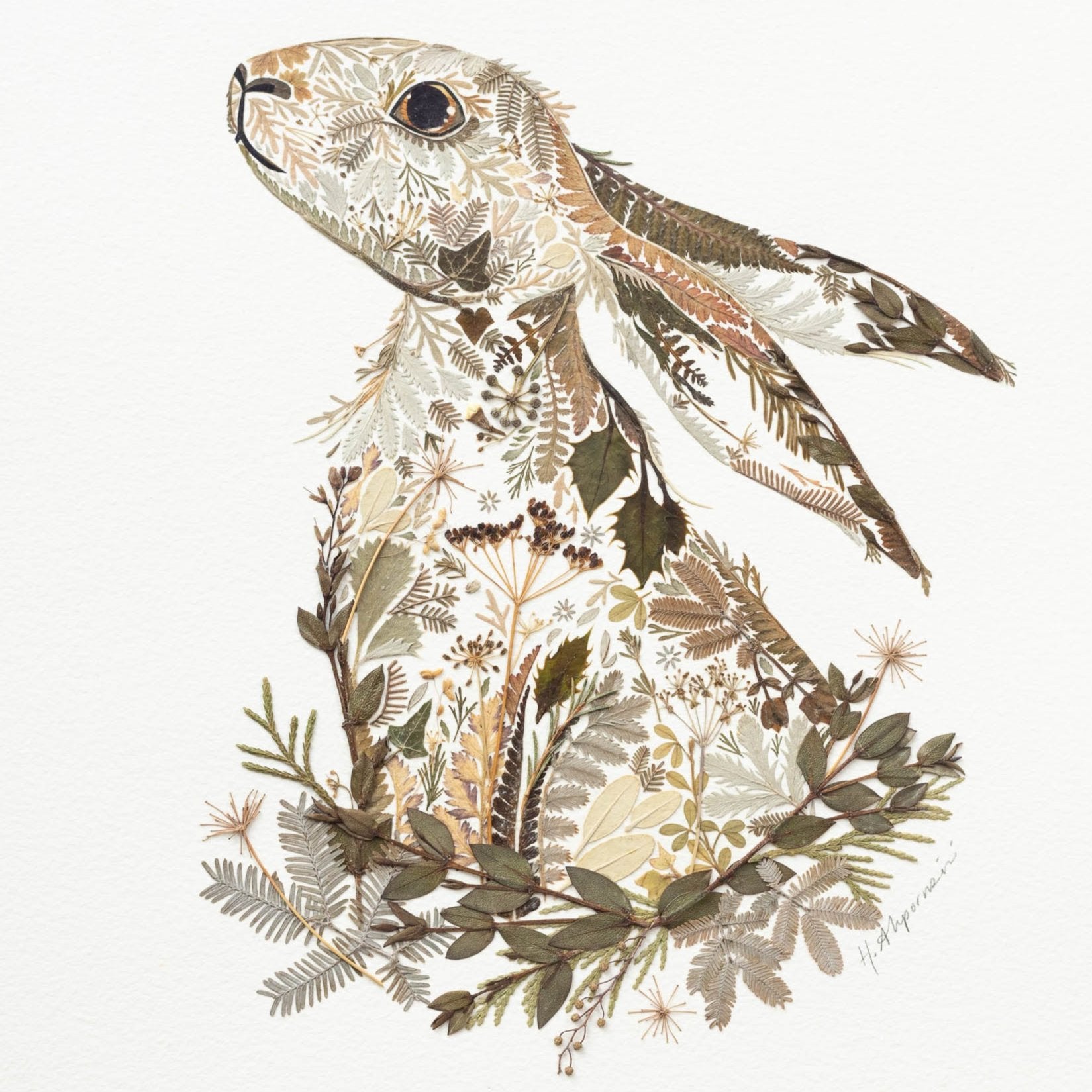 Original Pressed Plant Artwork - Winter Hare – Helen Ahpornsiri